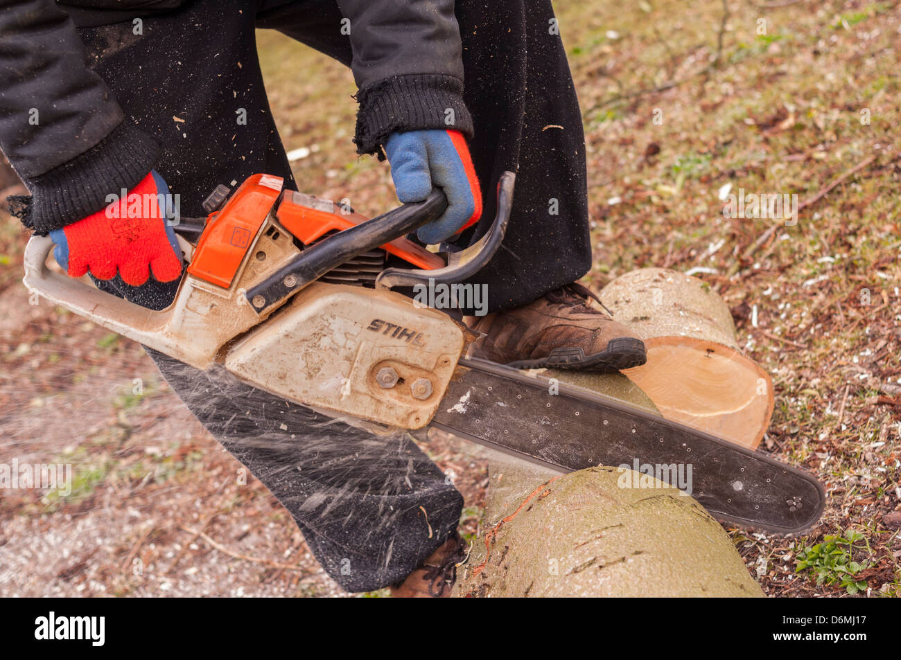 A man cutting logs with a chainsaw showing movement in the Uk Stock ...
