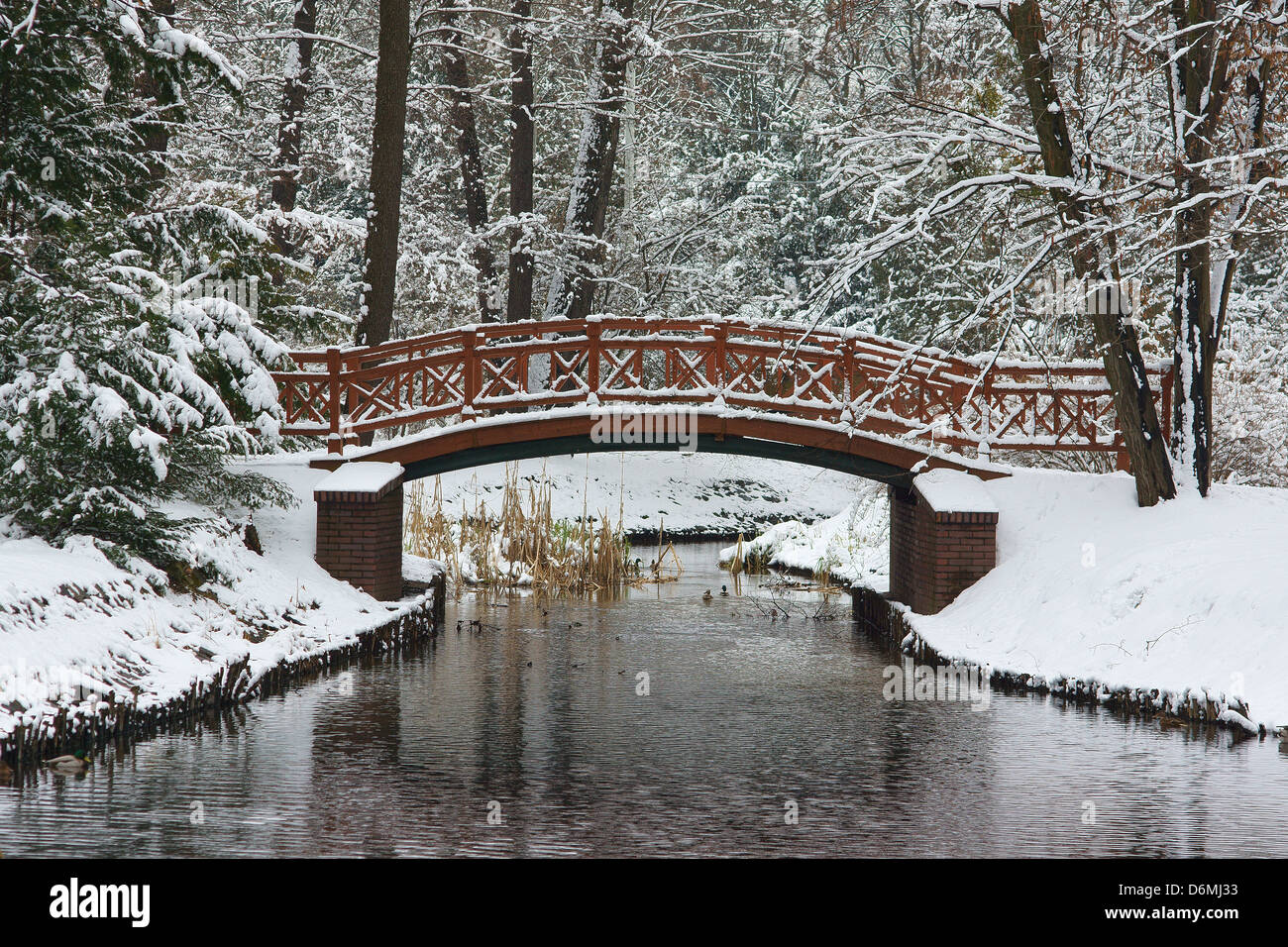 Bridge covered with snow winter wonderland Wroclaw Park Szczytnicki ...