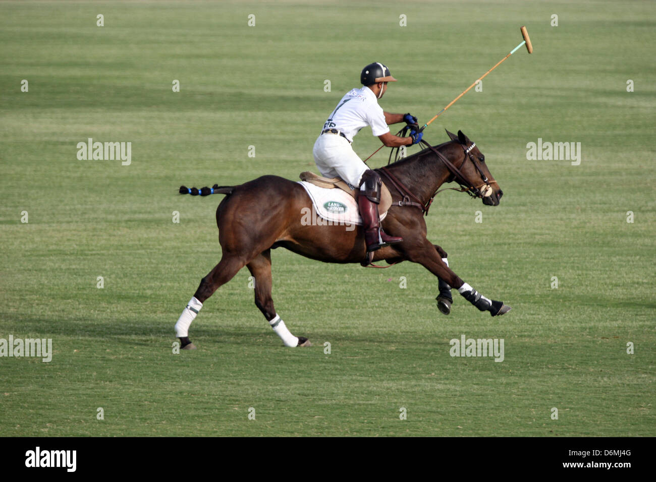 Dubai, United Arab Emirates, polo player Stock Photo - Alamy