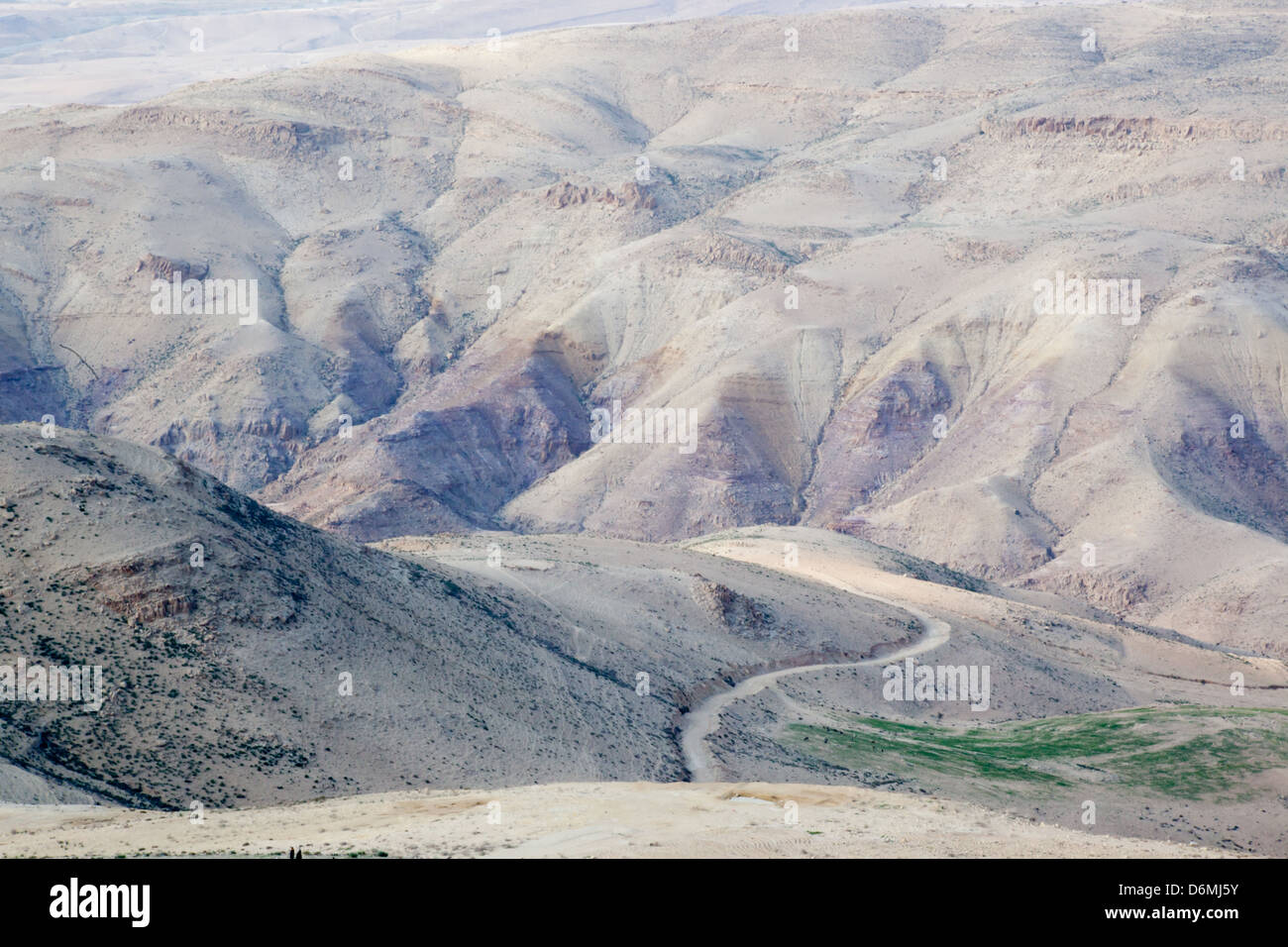 Desert, dry and sparse vegetation, with lots of sunshine and blue sky ...