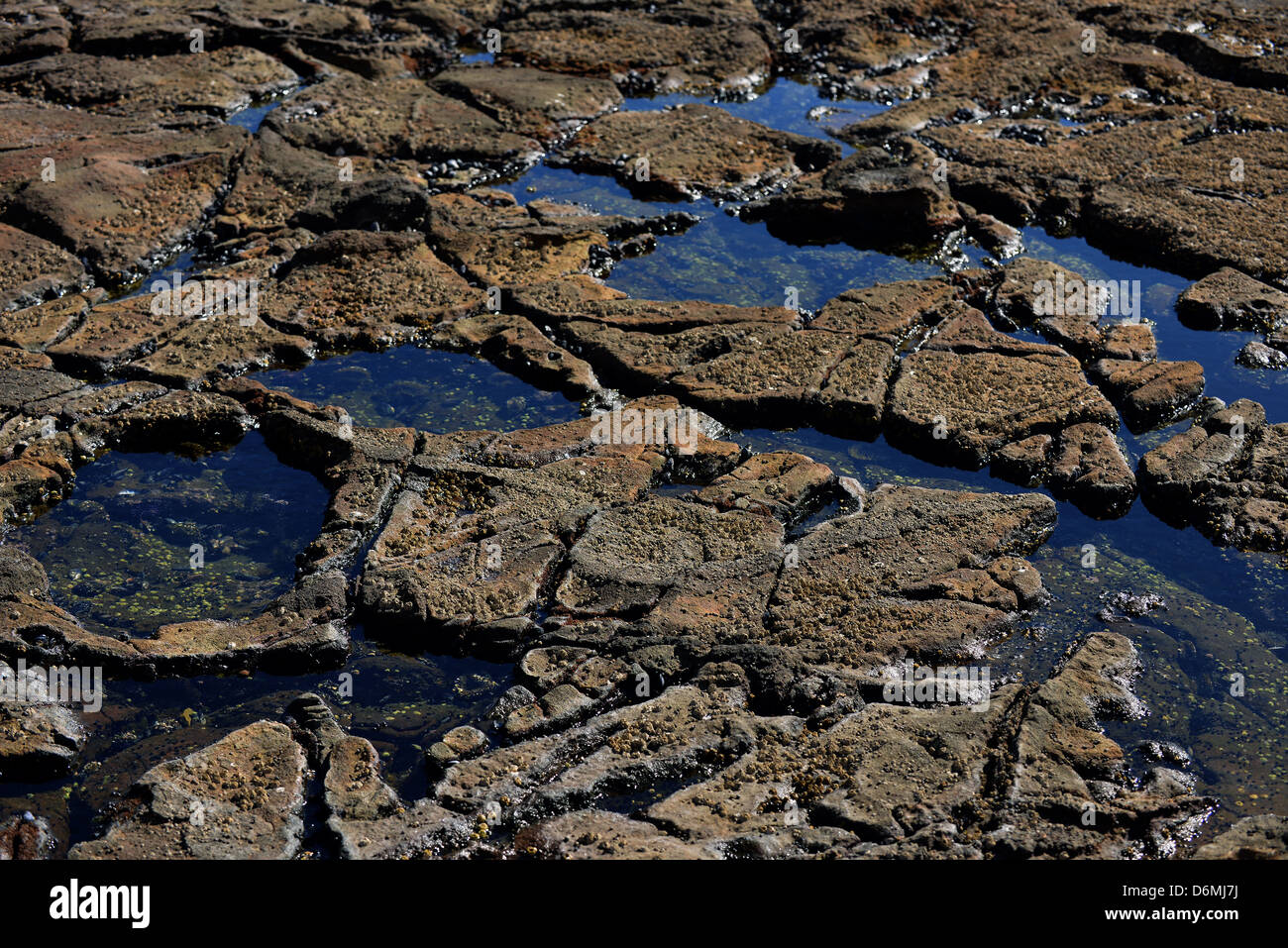 Black lava field background Stock Photo - Alamy