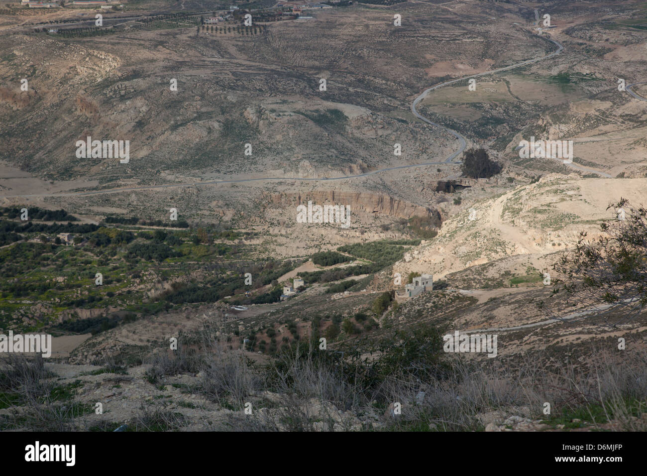 Desert, dry and sparse vegetation, with lots of sunshine and blue sky ...
