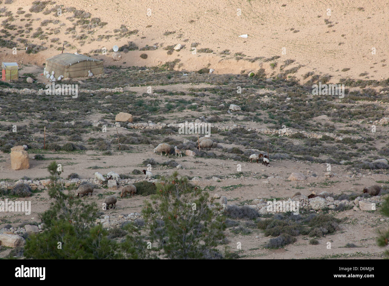 Desert, dry and sparse vegetation, with lots of sunshine and blue sky ...