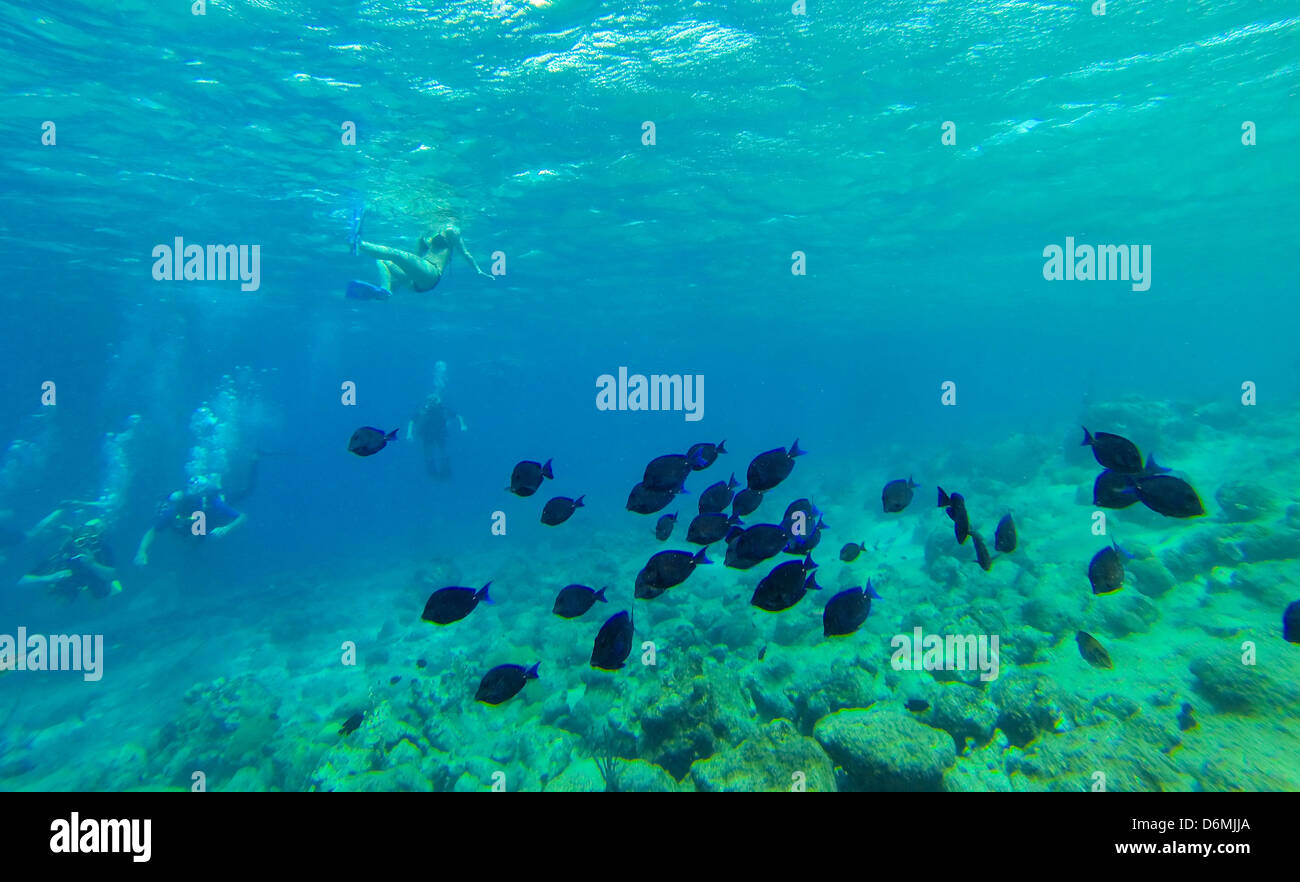 Picture taken in Curacao Stock Photo - Alamy