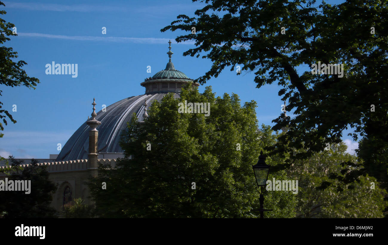 Brighton Dome canopy through trees, blue sky, Brighton, UK Stock Photo ...