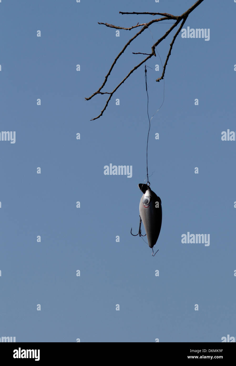 Fishermans lure in tree Stock Photo - Alamy