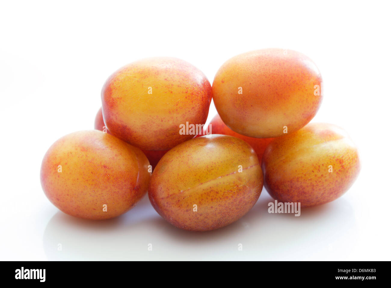Prunus domestica victoria hi-res stock photography and images - Alamy