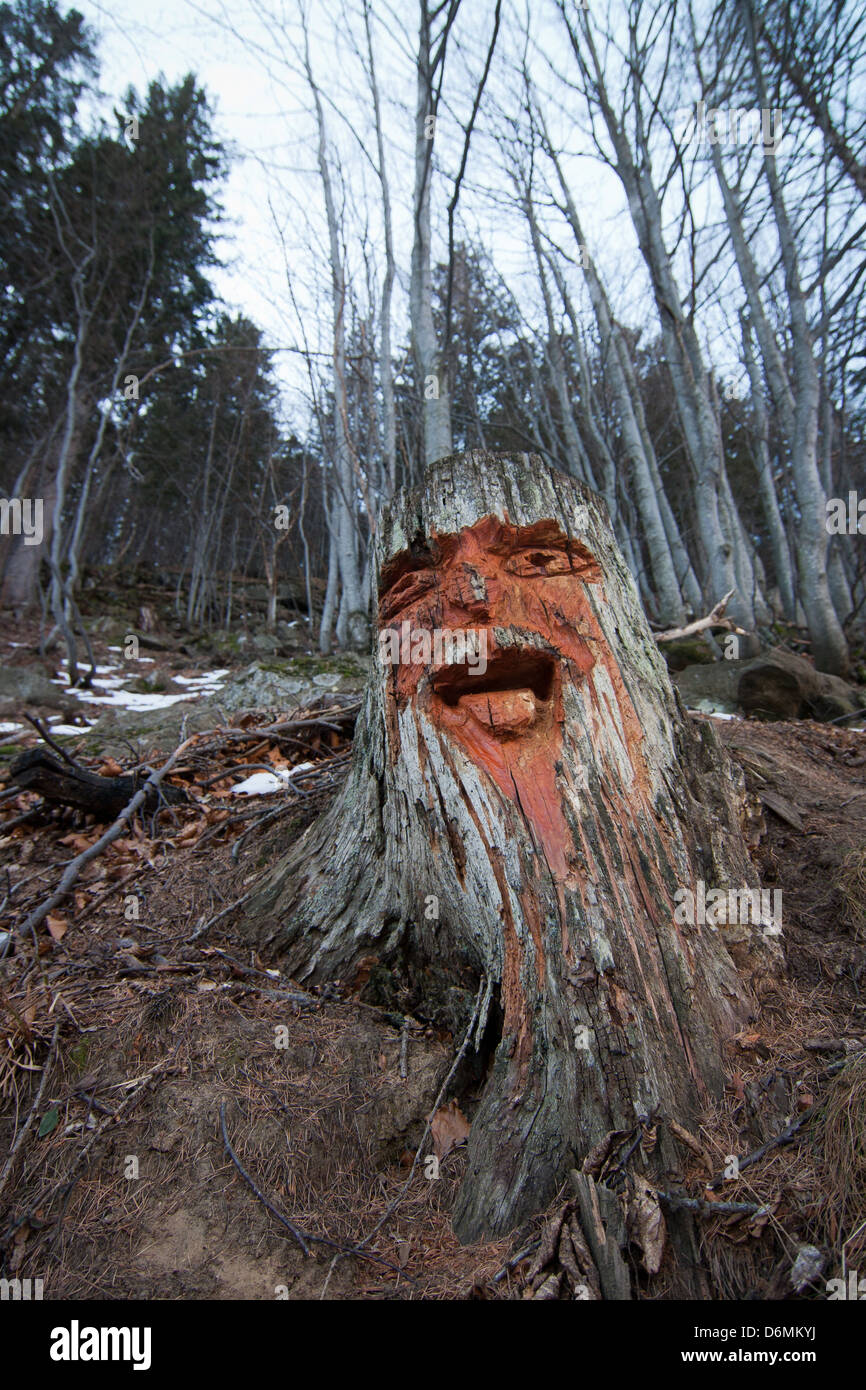 Elves in the forest Stock Photo - Alamy