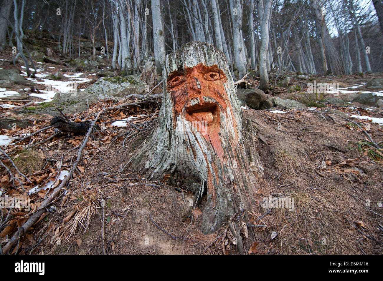 Elves in the forest Stock Photo - Alamy