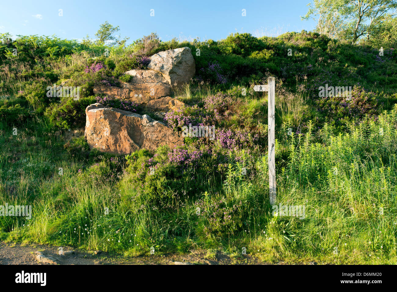 Curbar gap hi-res stock photography and images - Alamy
