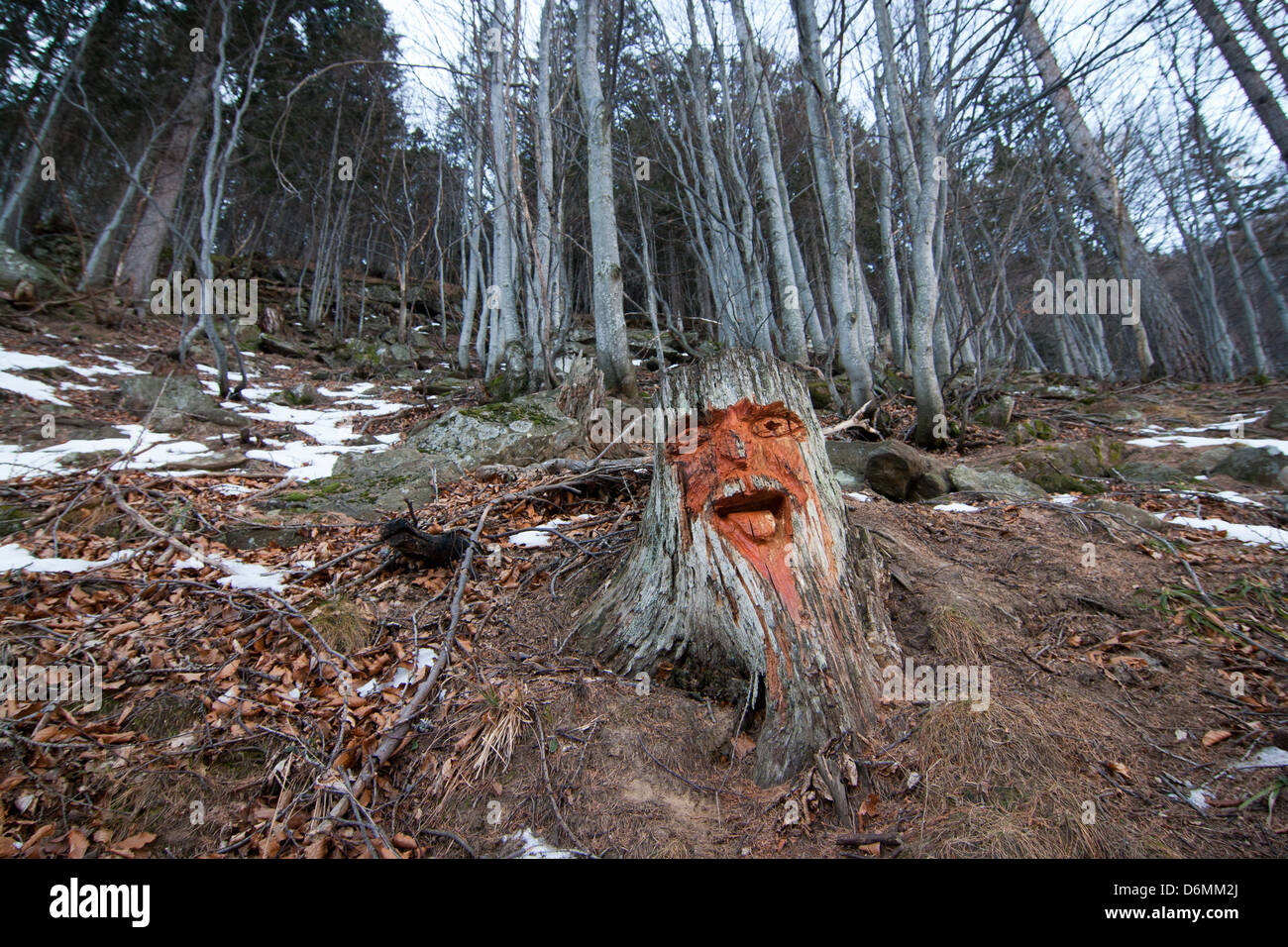 Elves in the forest Stock Photo - Alamy