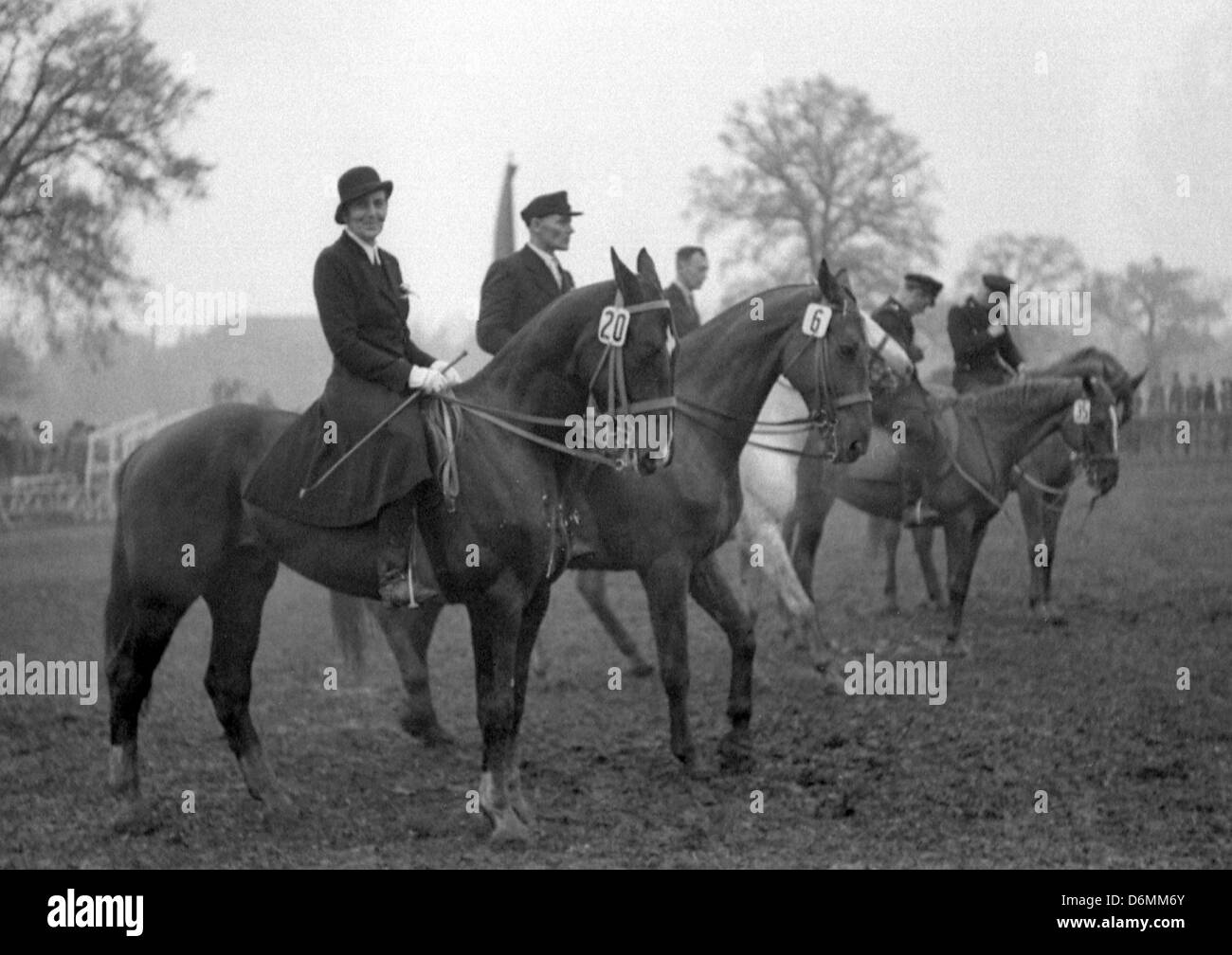 Presentation of a horse Black and White Stock Photos & Images - Alamy