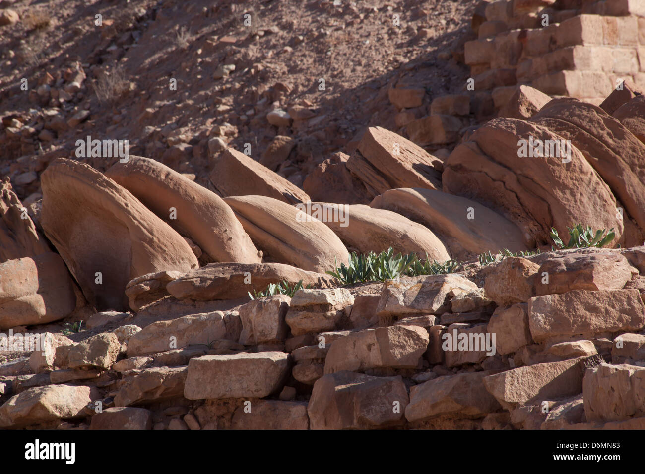 Ruins from the old, lost city of Petra in Jordan, a tourist destination ...