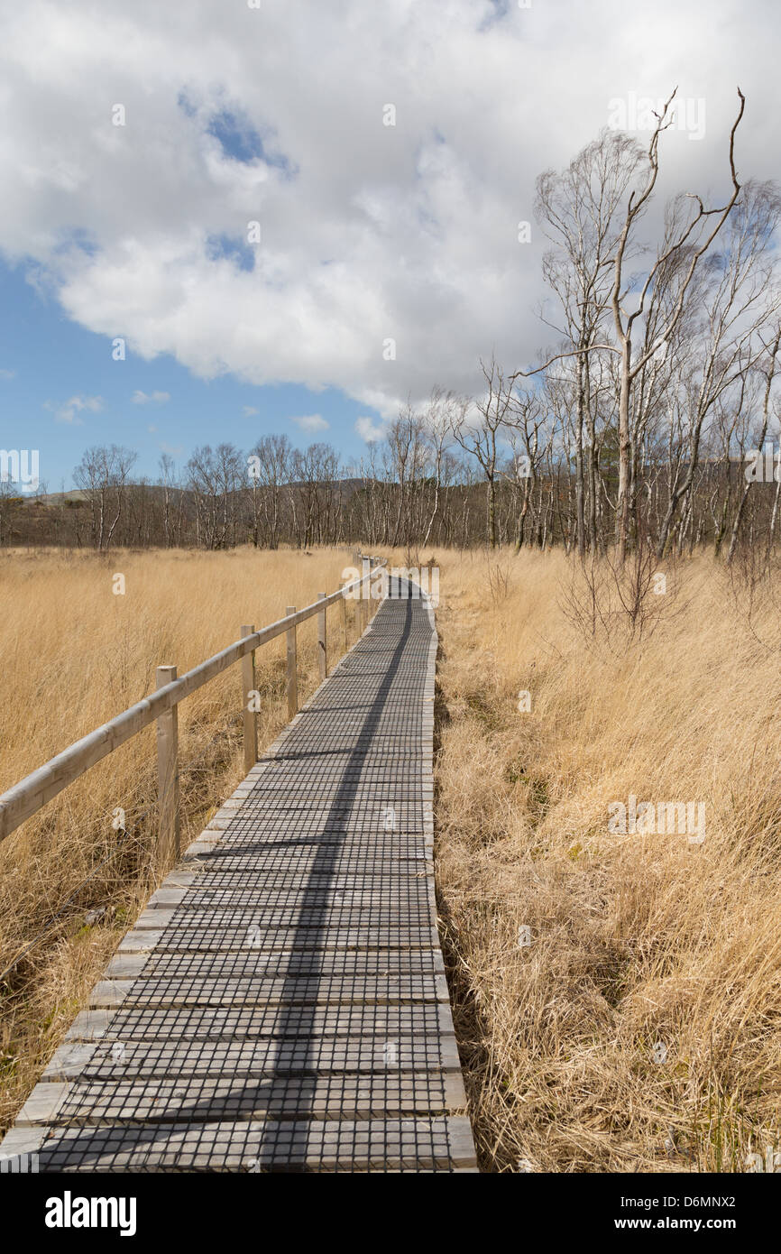 Timber walkway hi-res stock photography and images - Alamy