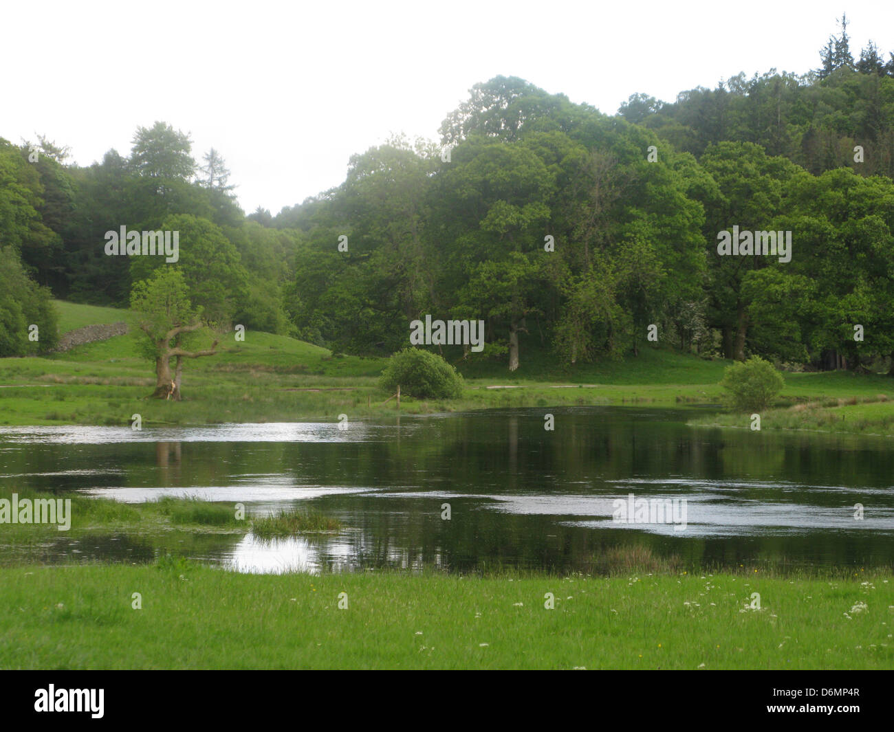 Lake district spring hi-res stock photography and images - Alamy