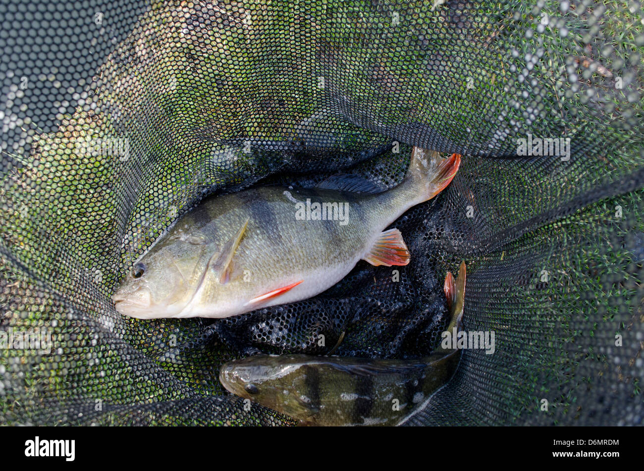 Freshwater canal hi-res stock photography and images - Alamy
