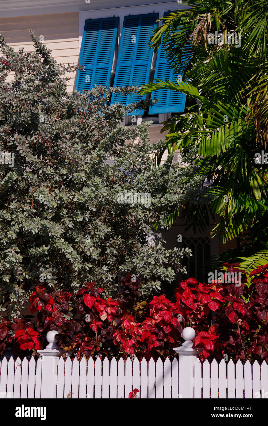 Clorful Tropical Shutters Stock Photo - Alamy