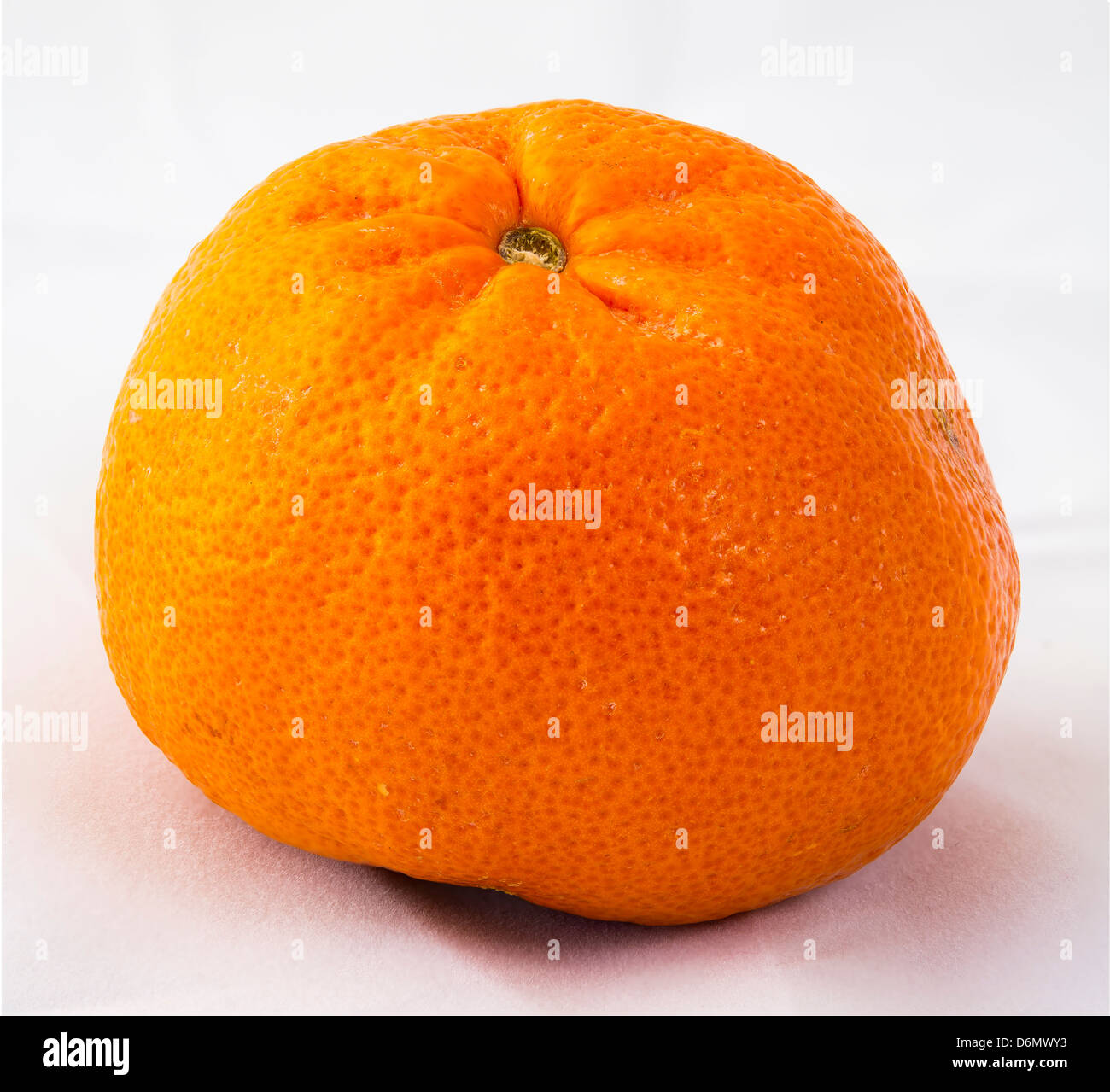 Mandarin fruit tree hi-res stock photography and images - Alamy