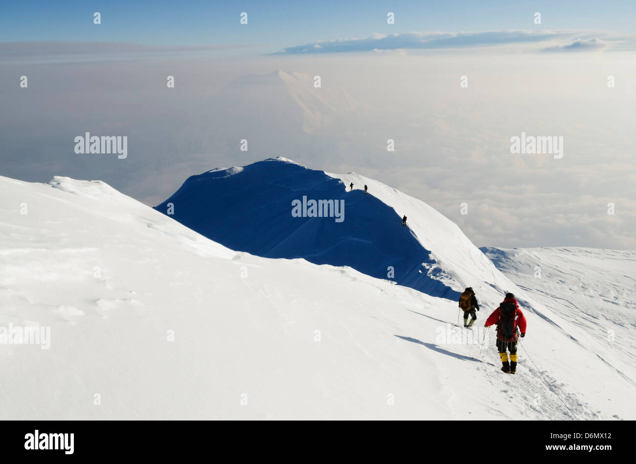 summit ridge, climbing expedition on Mt McKinley 6194m, Denali National ...