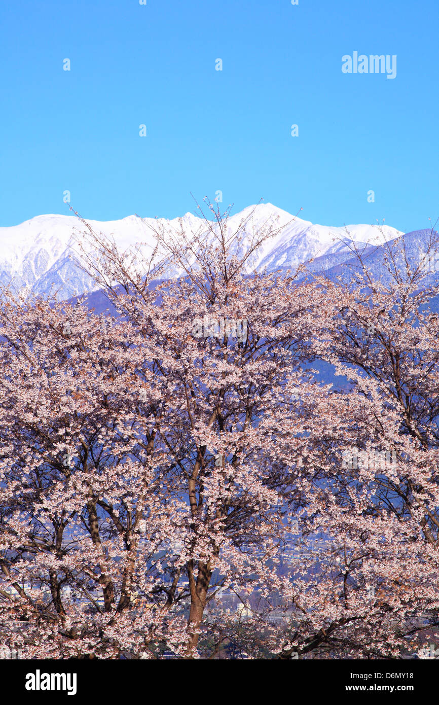 Central alps japan hi-res stock photography and images - Alamy