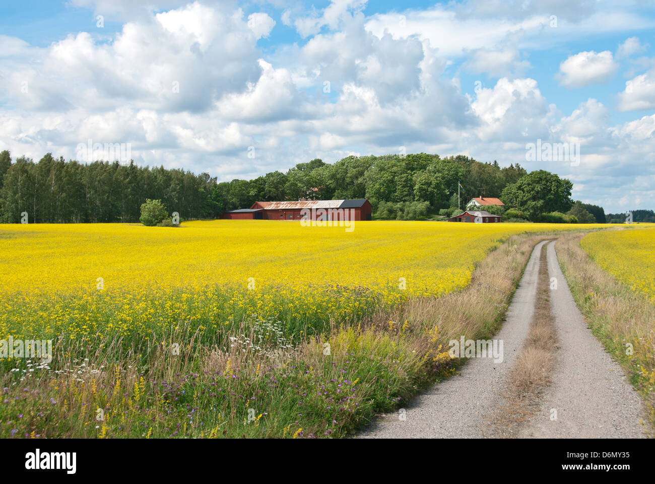 Pathway swedish countryside hi-res stock photography and images - Alamy