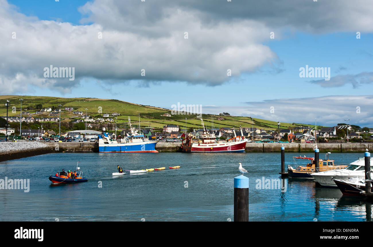 Dingle, Ireland, the Dingle Harbour Stock Photo - Alamy