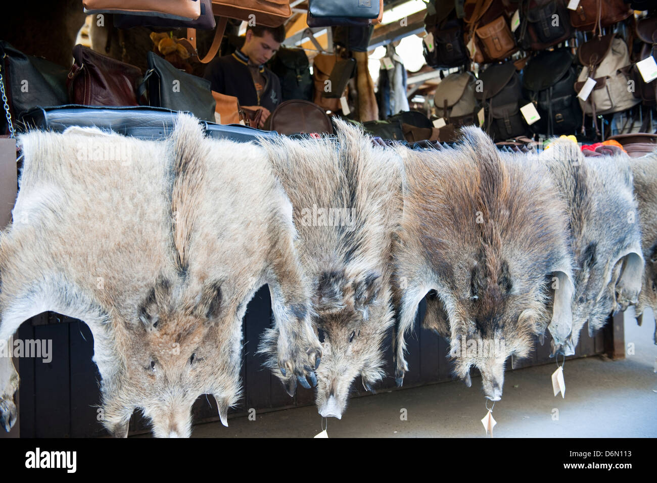 Wild boar skins for sale, Prague Stock Photo - Alamy