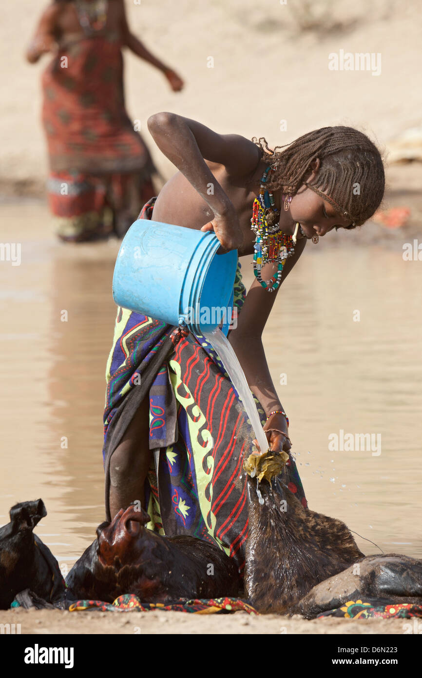 Semera, Ethiopia, nomads fetching water at a water point Stock Photo ...