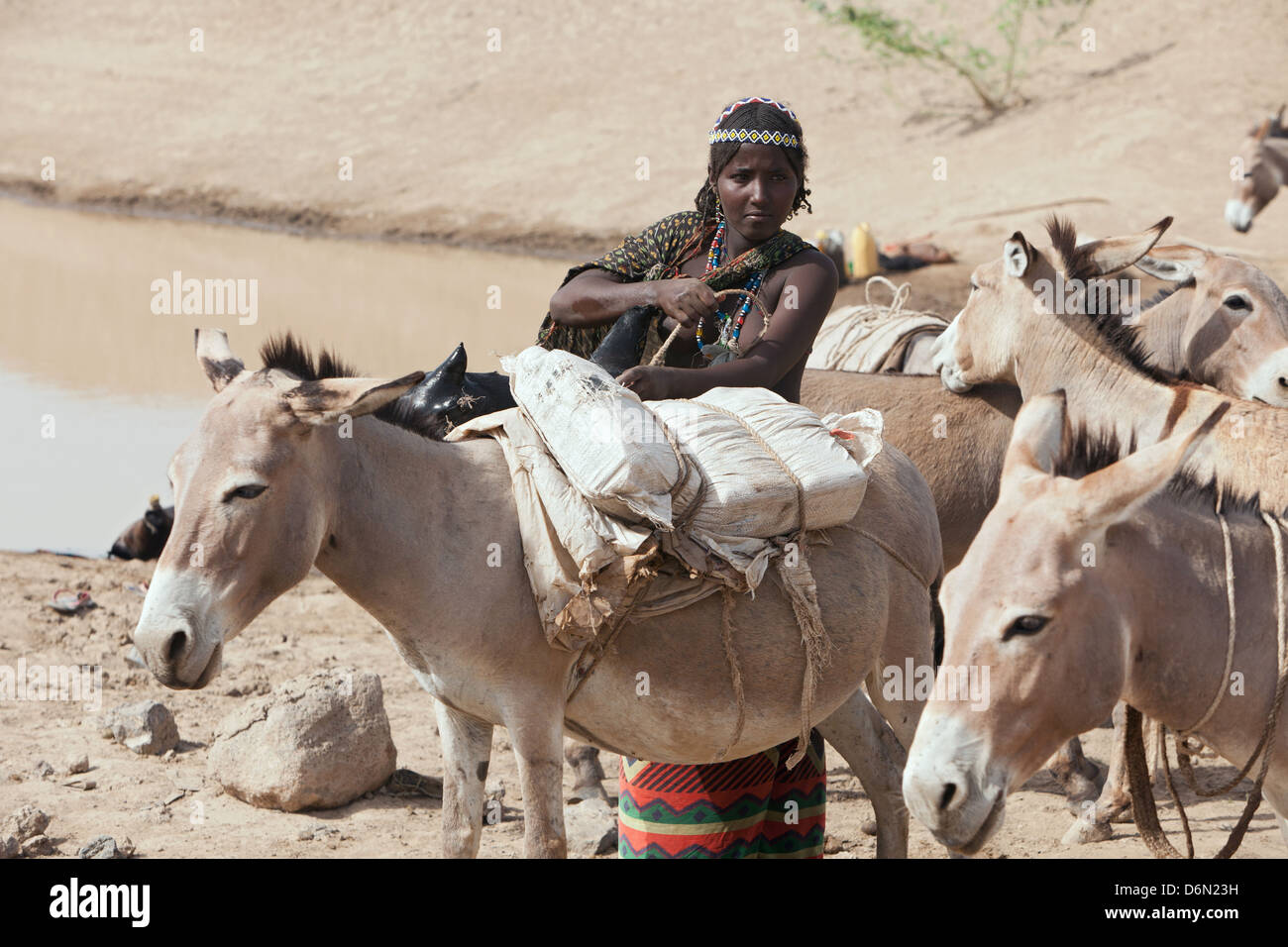 Semera, Ethiopia, nomads fetching water at a water point Stock Photo ...