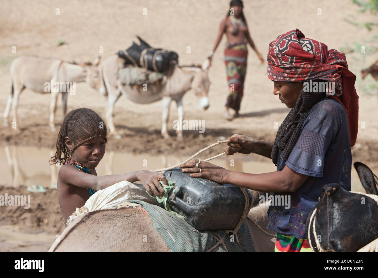 Semera, Ethiopia, nomads fetching water at a water point Stock Photo ...