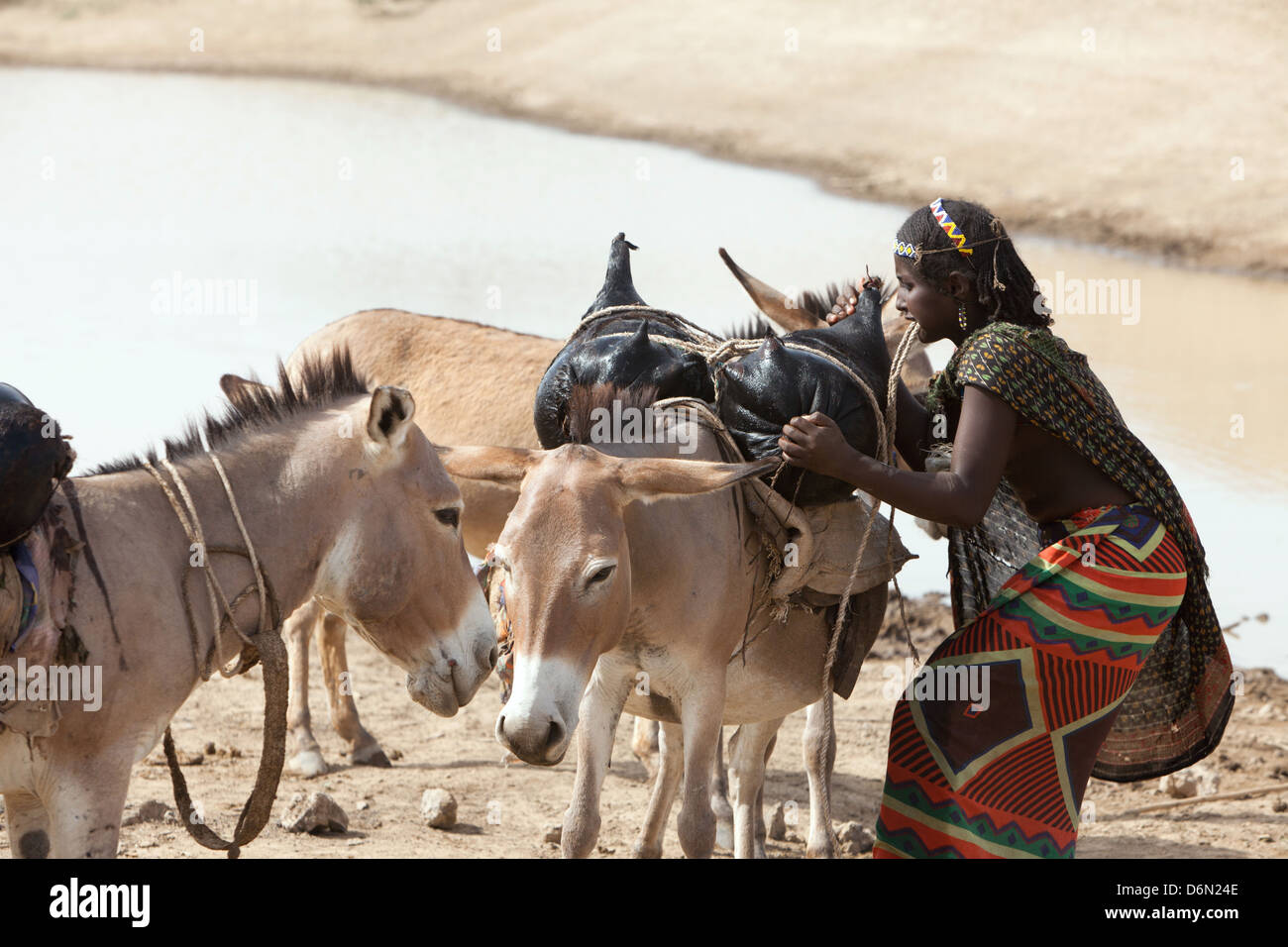 Semera, Ethiopia, nomads fetching water at a water point Stock Photo ...