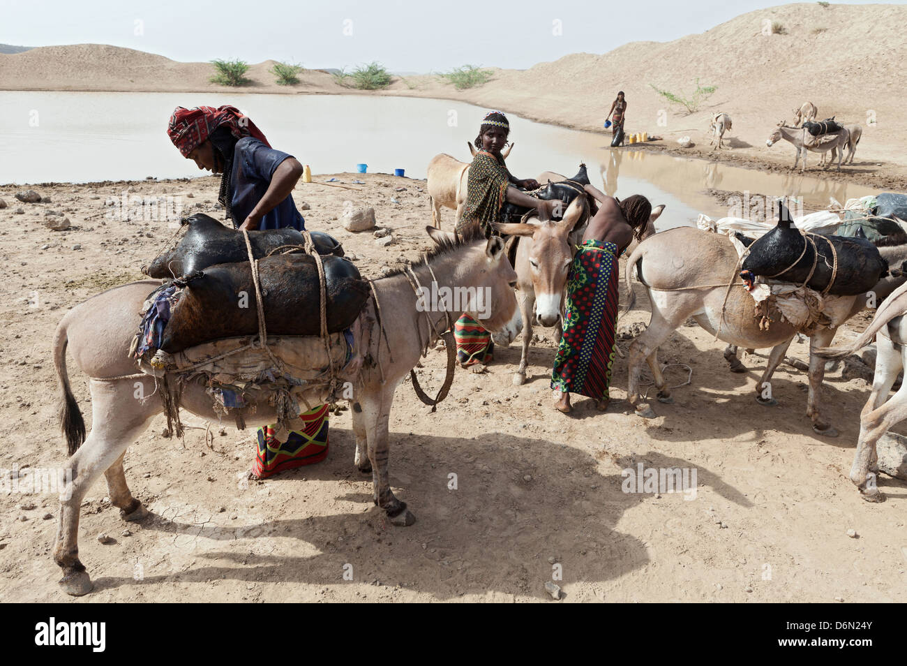 Semera, Ethiopia, nomads fetching water at a water point Stock Photo - Alamy