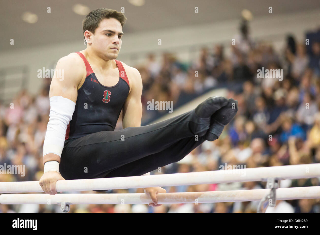 Pennsylvania, USA. 20th April, 2013. April 20, 2013: Stanford Brian ...