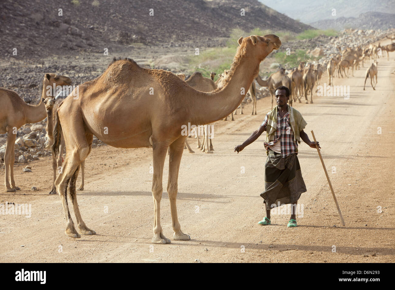 Afar Ethiopia Nomad High Resolution Stock Photography and Images - Alamy