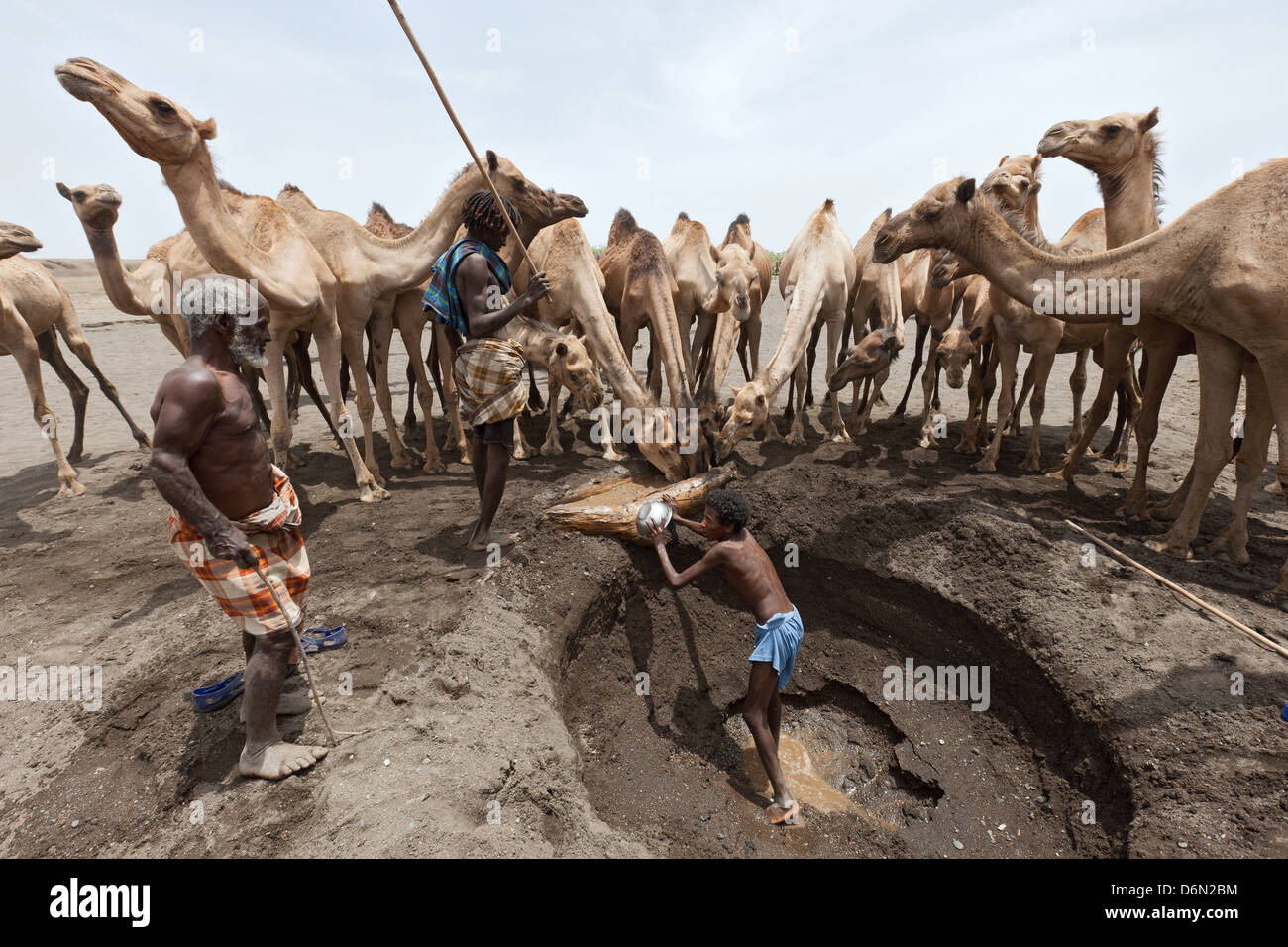 Awash, Ethiopia, nomads dig in a dry river bed with his hand on the ...