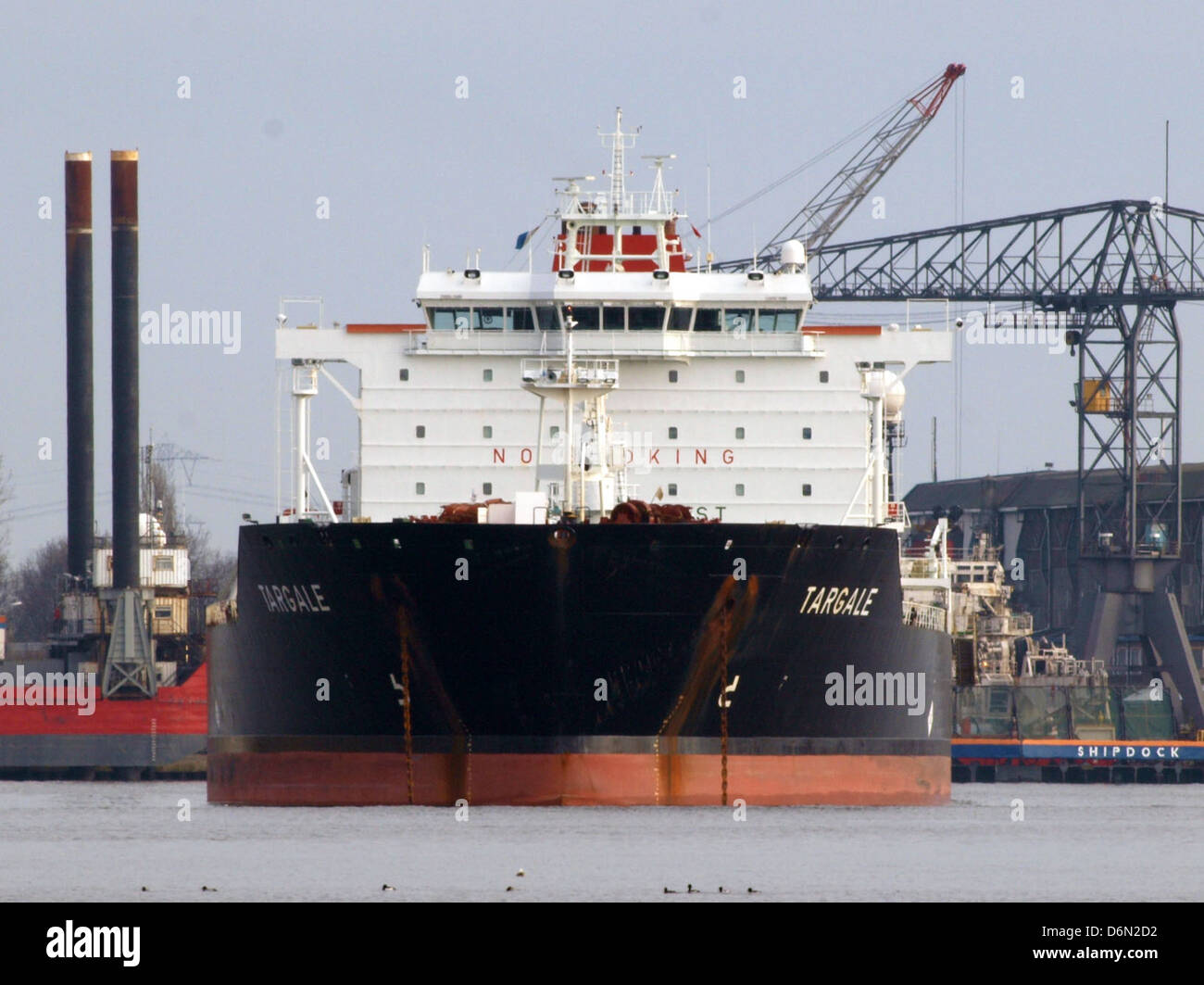 The Targale, with IMO number 9323340 and callsign V7LN9, is a cargo ...