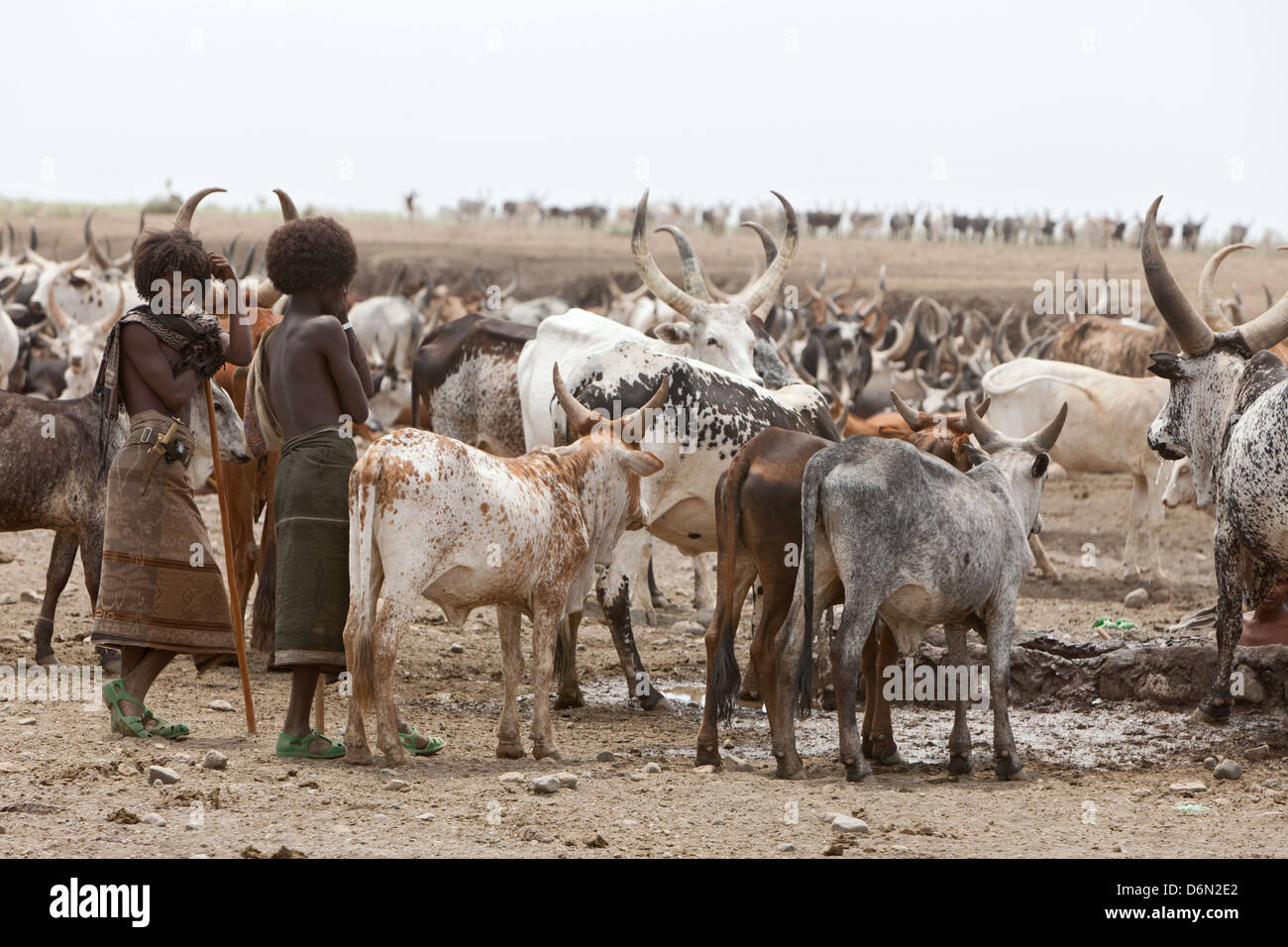 Nomadic Herding Ethiopia