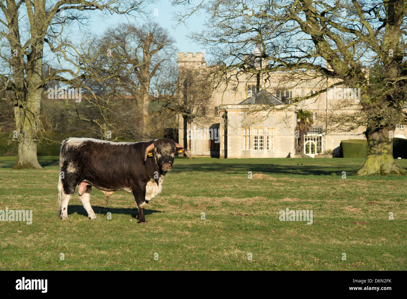 Rousham park hi-res stock photography and images - Alamy