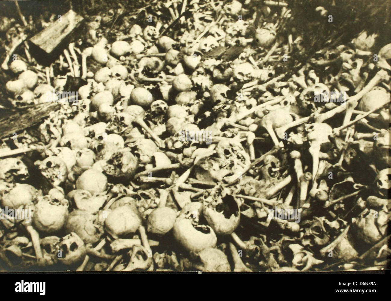 A photo of remains from World War I, including bones and skulls ...
