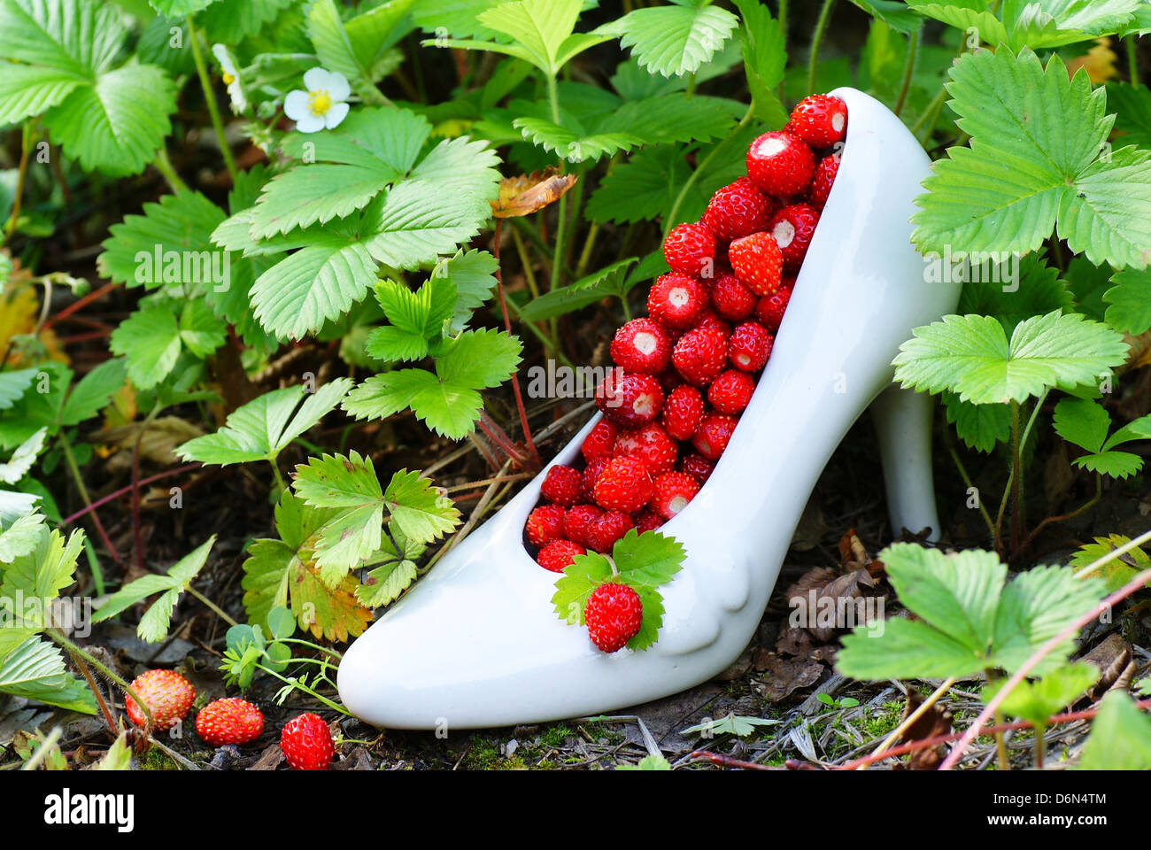Strawberry stand hi-res stock photography and images - Alamy