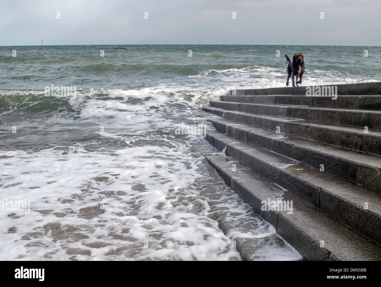 seaside coast pier jetty promenade Stock Photo - Alamy