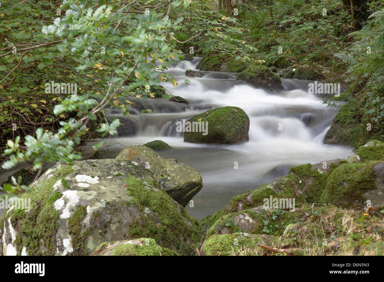 River Aber in gwynedd wales Stock Photo - Alamy