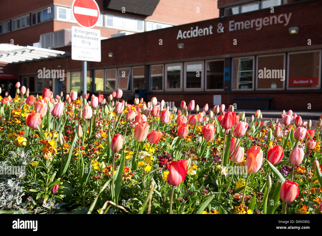 St Georges Hospital Blackshaw Road Tooting London Stock Photo - Alamy