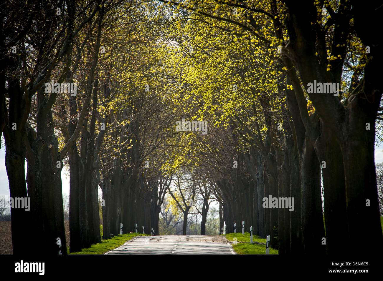 Bernau, Germany, road Stock Photo - Alamy