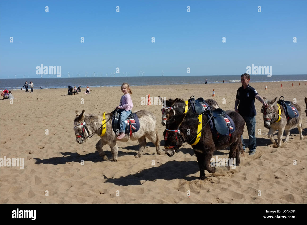 Skegness beach donkey hi-res stock photography and images - Alamy