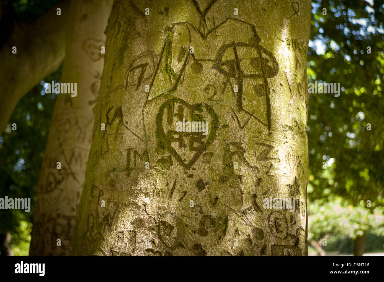 Berlin, Germany, carved into a tree hearts and initials Stock Photo - Alamy