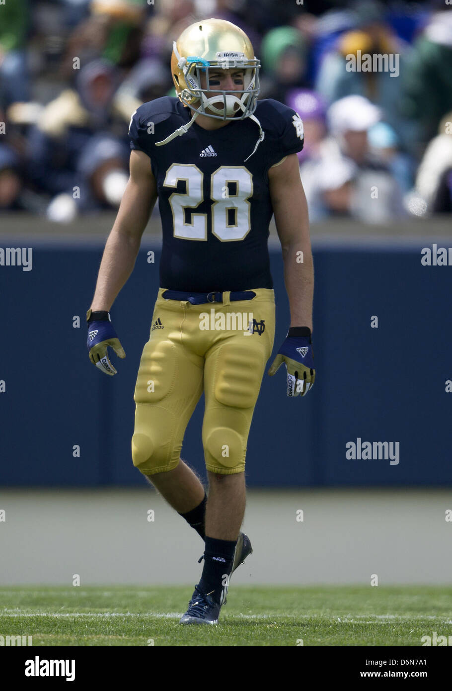 South Bend, Indiana, USA. 20th April, 2013. Notre Dame Fighting Irish safety Austin Collinsworth ...