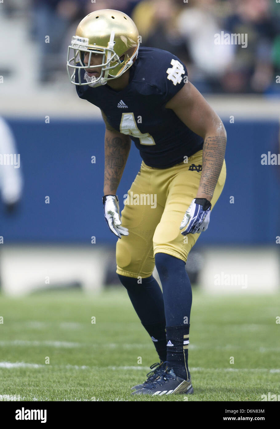 Eilar hardy hi-res stock photography and images - Alamy