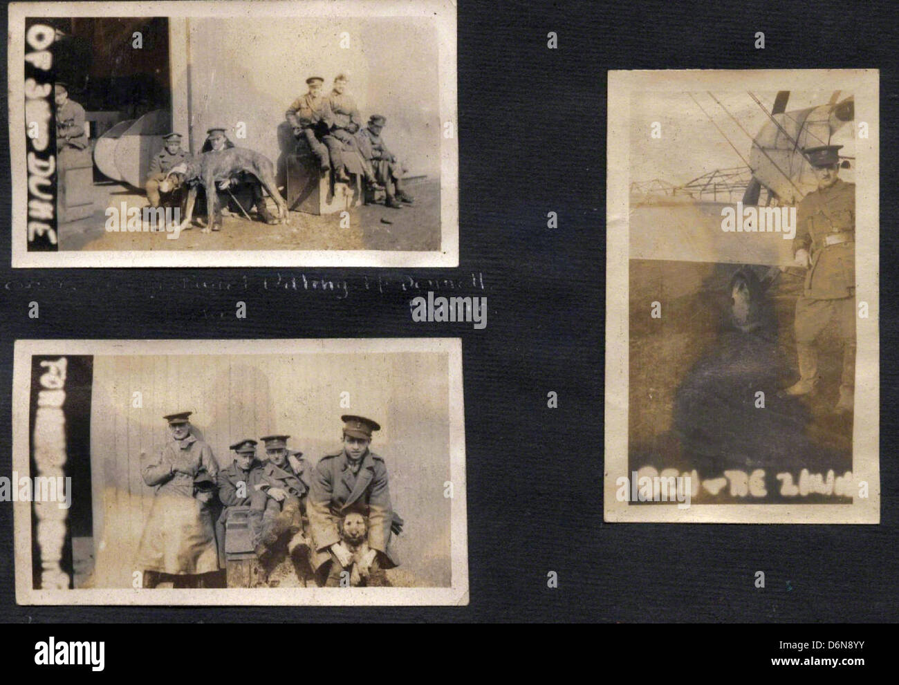 This scrapbook highlights the experiences of Duke during World War I ...