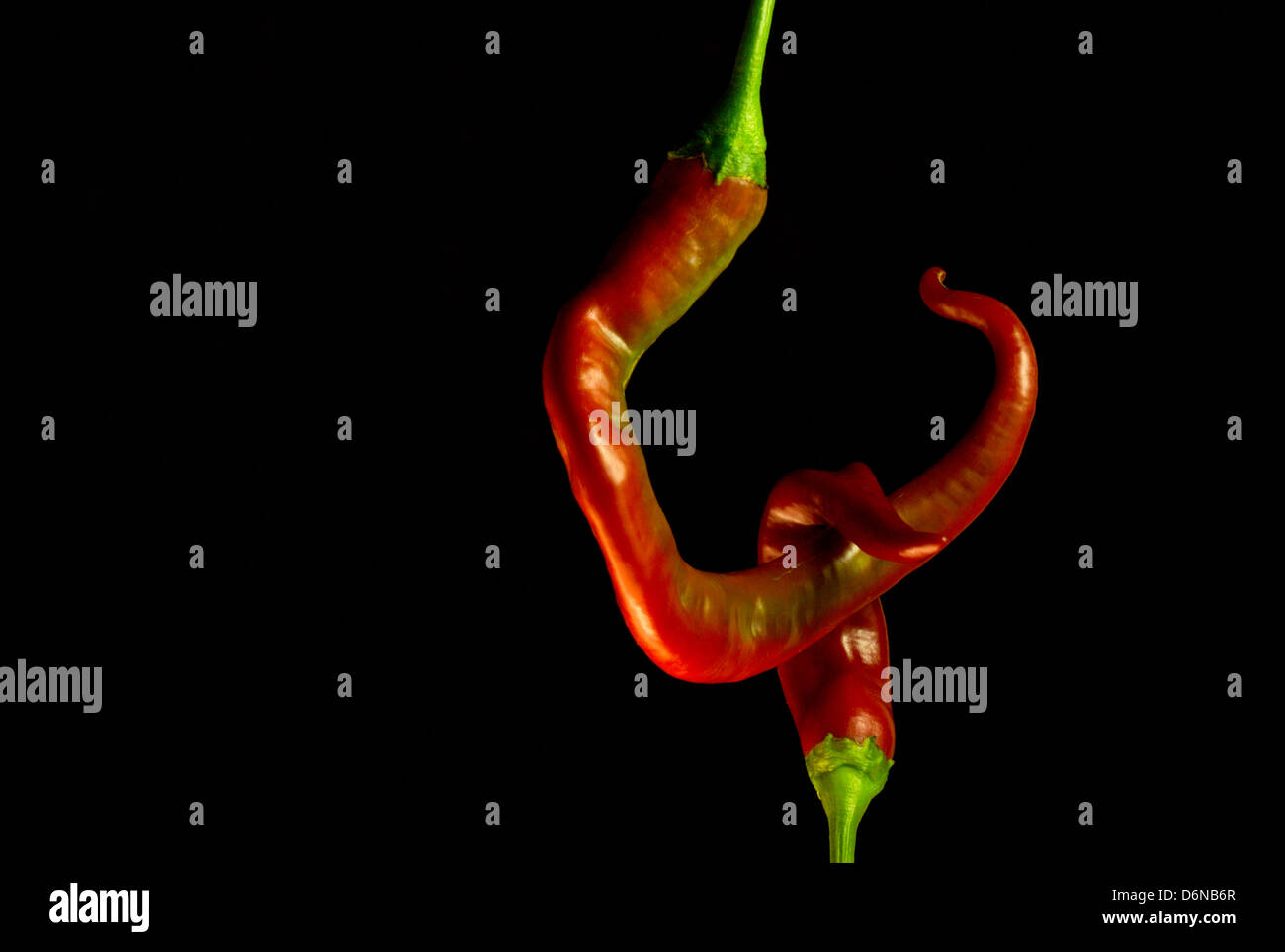 new conceptual image with two peppers on black background Stock Photo ...